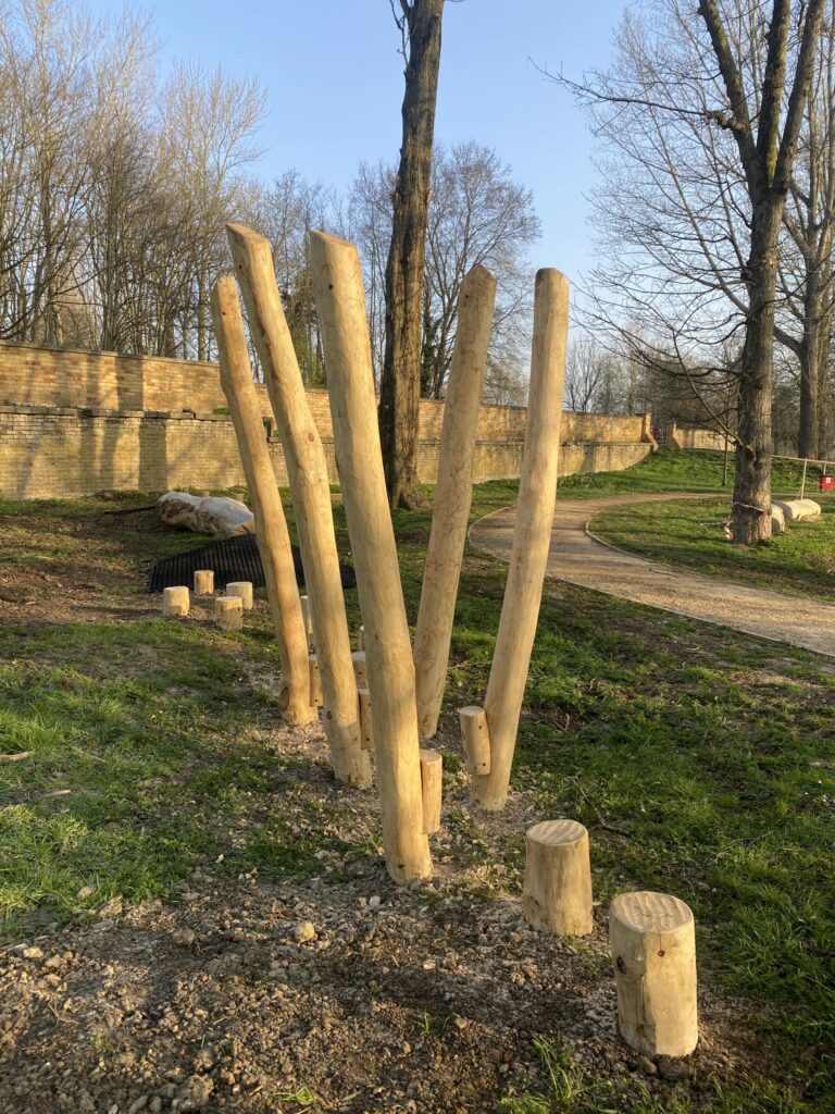 Stepping Logs | Log Stepping Stones | Copper Beech Play