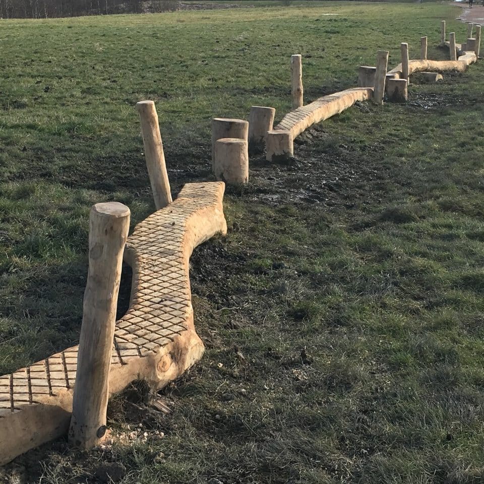 Balance Log - Copper Beech Play