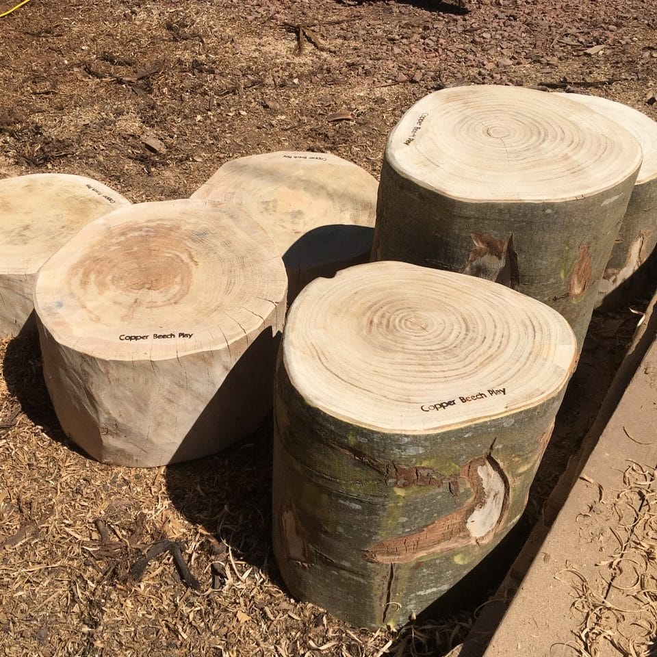 Disc Stepping Logs x5 - Copper Beech Play