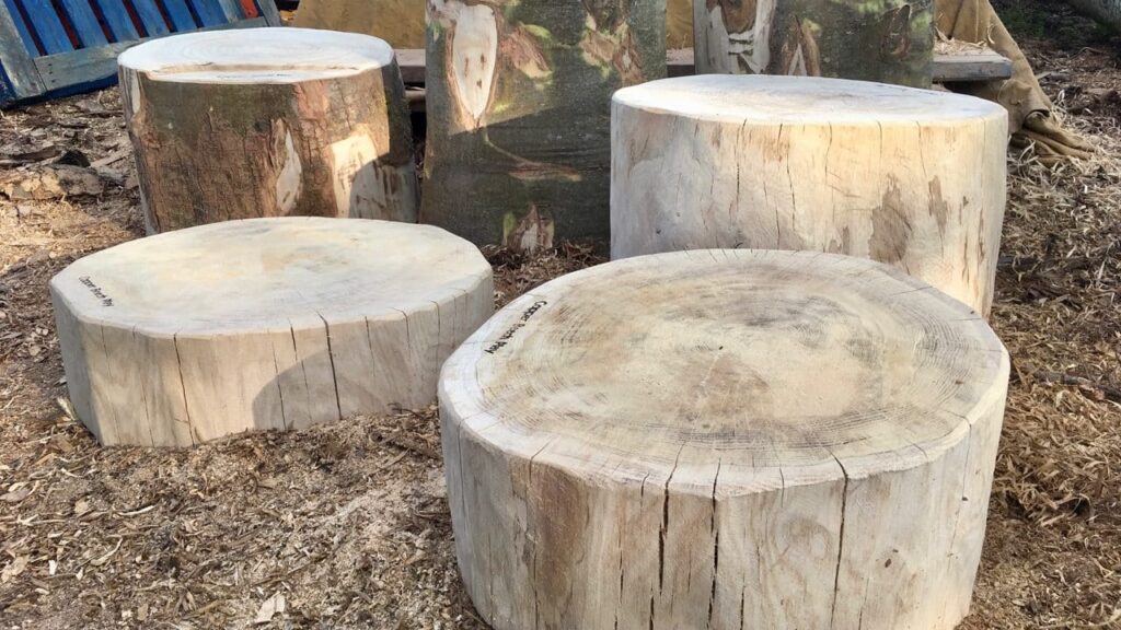 Disc Stepping Logs - solid sustainable wood