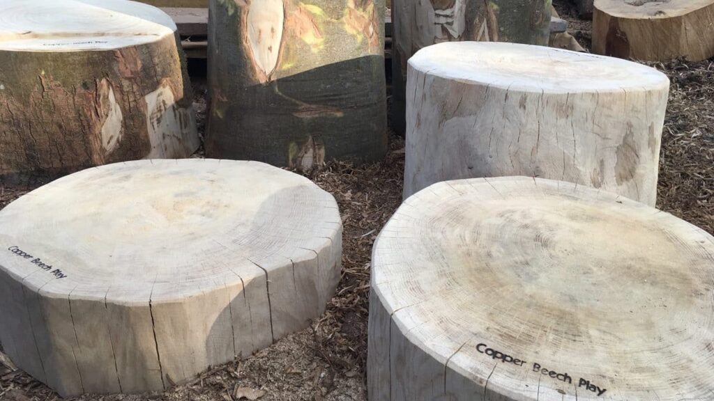 Disc Stepping Logs - solid sustainable wood