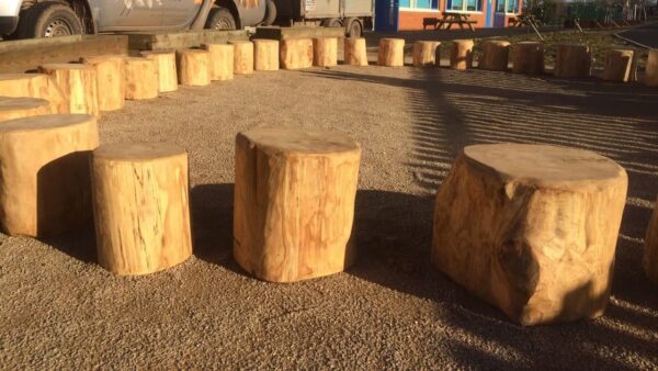 Log Seats | Wooden Play Equipment | Copper Beech Play