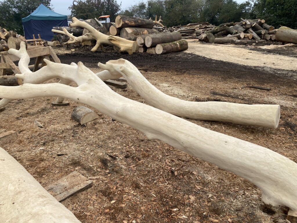 Play Tree Top - Copper Beech Play