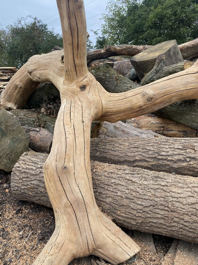 Play Tree Top - Copper Beech Play