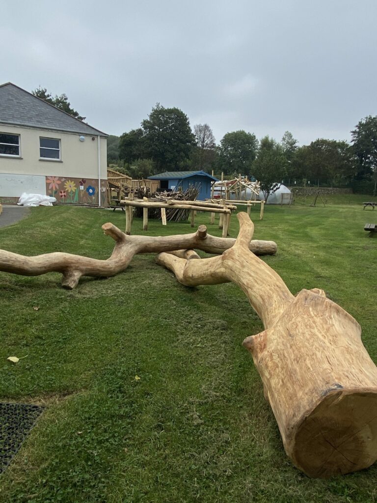 Play Tree Top - Copper Beech Play