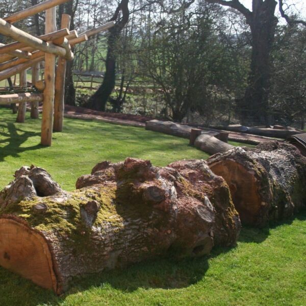 Shop - Copper Beech Play