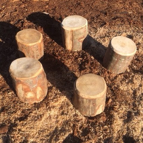 Shop - Copper Beech Play