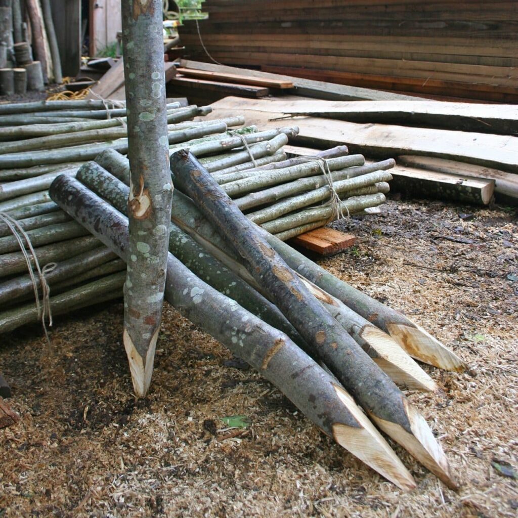 Chestnut Mini Stakes - ideal for forest school projects