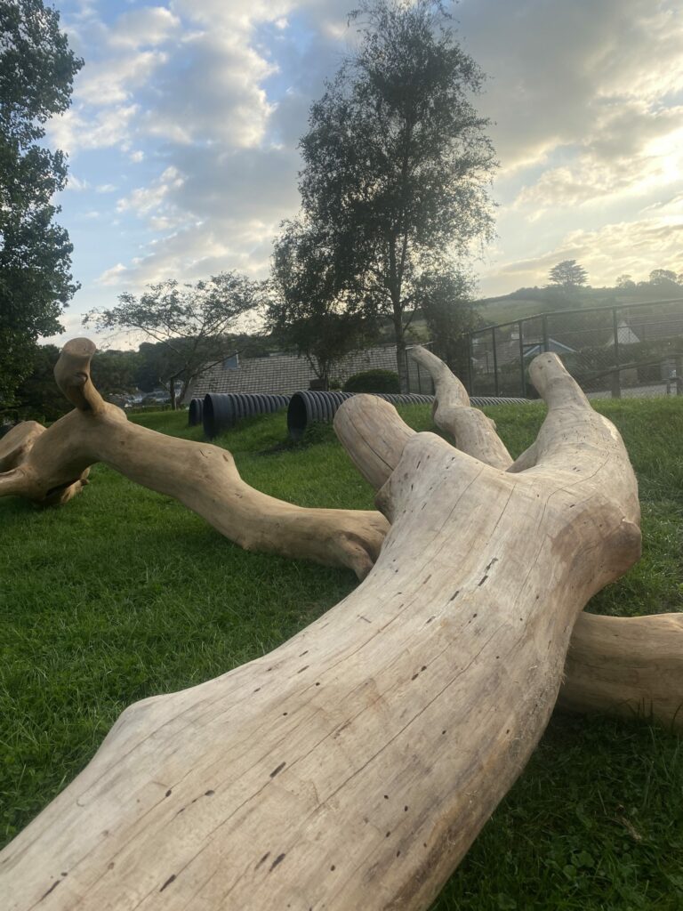 Play Tree Top - Copper Beech Play