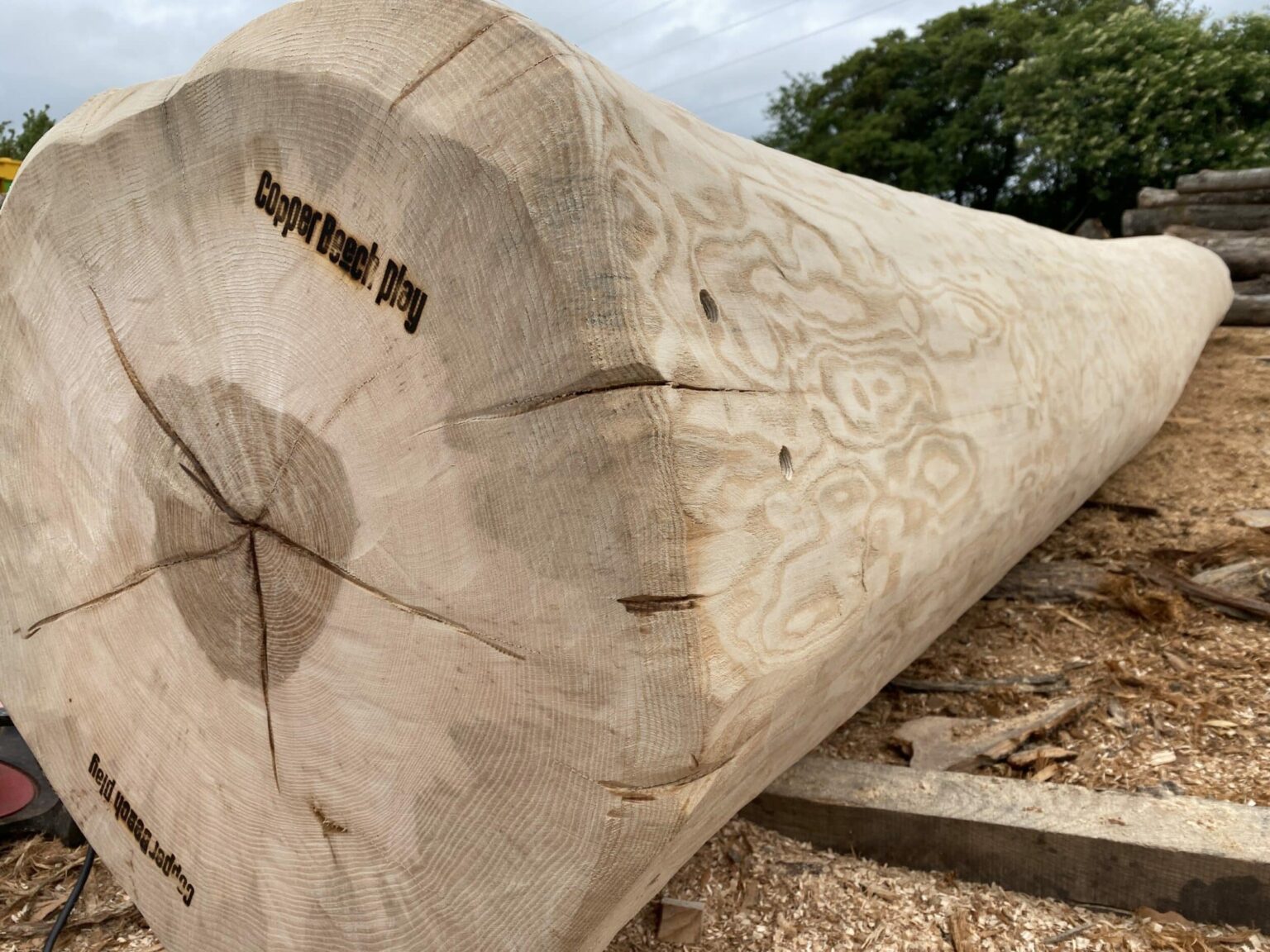 Tree Logs | Tree Trunks for Sale | Tree Trunk Climbing Frame