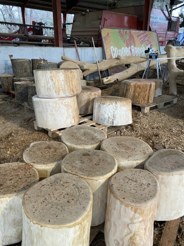 XL Loose Stepping Logs - Copper Beech Play